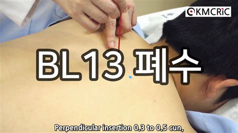 Bl13 폐수 肺兪 Feishu Eng Sub Kmcric Who Standard Acupoint Db Youtube