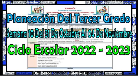 Planeación del tercer grado de primaria de la semana 10 del 31 de