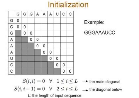 nussinov algorithm example 19 august 2011 bioinformatics pakistan