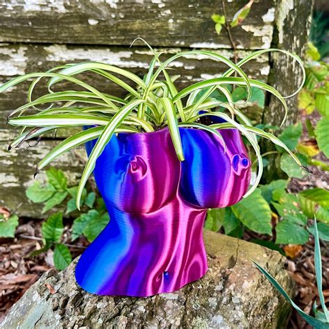 Sexy Boob Planter Home Decor Bust Breast Boobs Female Dickasaurus Rex
