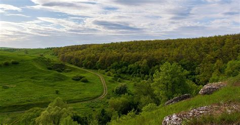 Где находится Среднерусская возвышенность ВФокусе Mail