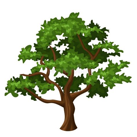 Roble ilustración del vector Ilustración de bosque