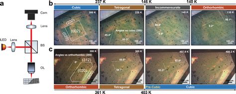 Nonpolarized Light Imaging Of Ferroelastic Domain Wall Switching In