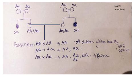 Solved Question Inheritance Pattern In This Chegg