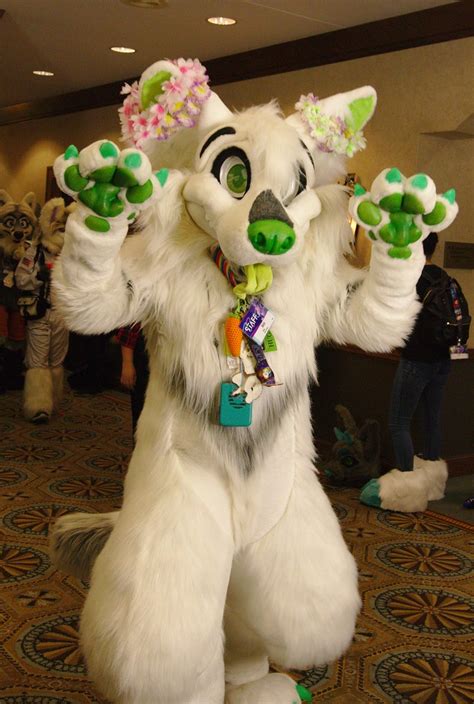 ACFI 2019 20191005 102802930 ACFI Photography Flickr