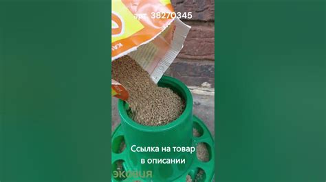 Бункерная кормушка для цыплят БК 1М ВОЛТЕРА — ссылка в описании - YouTube