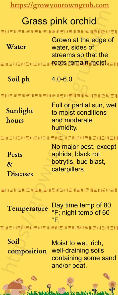 How To Grow Grass Pink Orchid At Home Grow Your Own Grub