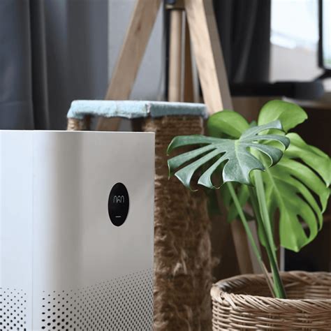 Best Hepa Air Purifiers For Your Home Home Homecare Oscea
