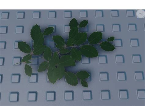 Odd White Outline Issue When Importing Branch Textures Art Design