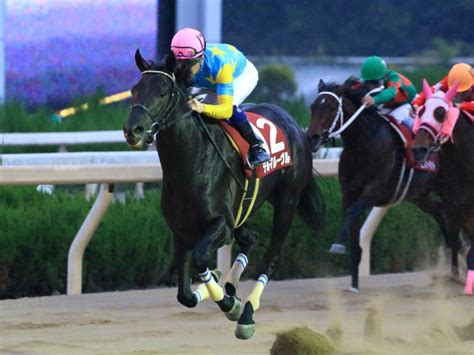 【次走】デルマルーヴルは吉田隼人騎手との新コンビでレパードsへ 競馬ニュース Netkeiba