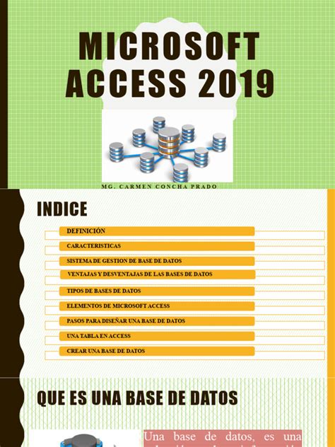 Microsoft Access 2019 Pdf