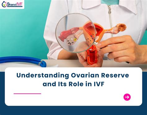 Understanding Ovarian Reserve And Its Role In Ivf