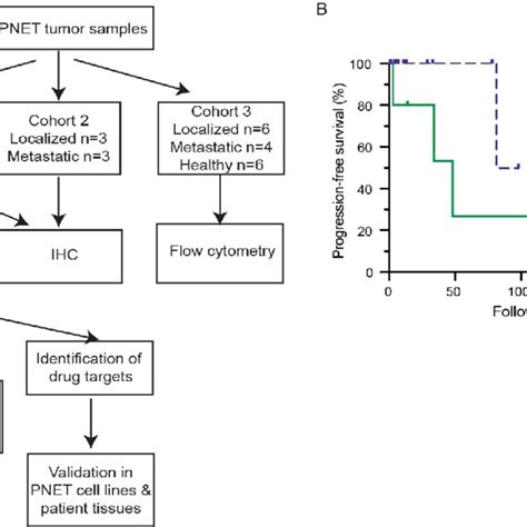 Schematic Diagram Of Bioinformatic Analysis Of This Study Download Scientific Diagram