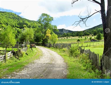 Beau Paysage Route Et Végétation De Campagne Photo Stock Image Du