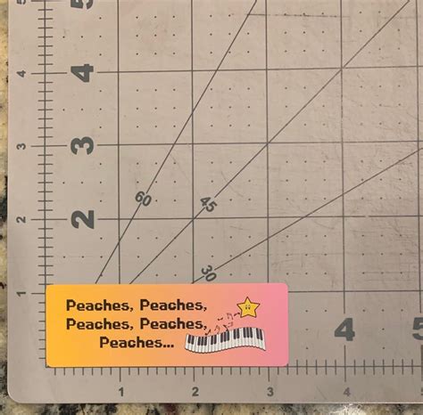 Peaches Peaches Repositionable Vinyl Decal Sticker The Heartwood