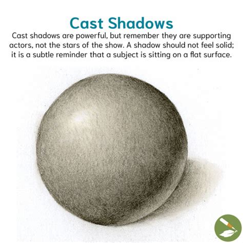 The Power Of Light In Realistic Illustrations Draw Botanical Llc