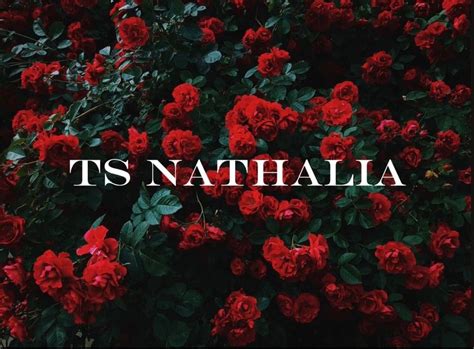 Ts Nathalia Onlyfans Stats Graphs Photos And Profile Comparisons