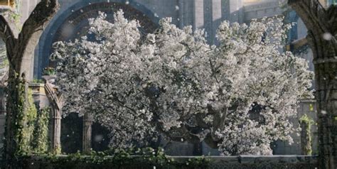 The Rings Of Power Explained What Is The White Tree Of Númenor