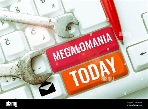 Sign Displaying Megalomania Business Idea Mental Illness That Is