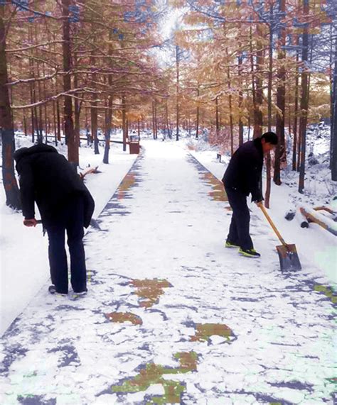加大积雪清扫力度 扫除游客后顾之忧 景区资讯 旅游资讯 阿尔山旅游网