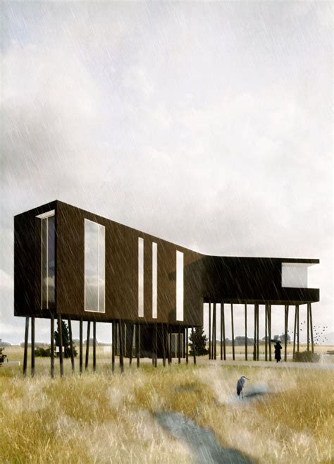 Architecture Project Marshland Hub On An Elevated Timber Structure