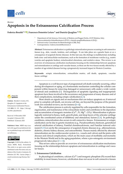Apoptosis In The Extraosseous Calcification Process Docslib