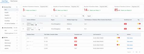 View The Sensitive Data Identification Results Of Data Objects Or Database Instances Data