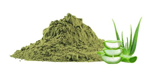 Aloe Vera Powder Manufacturers Bulk Wholesalers And Suppliers