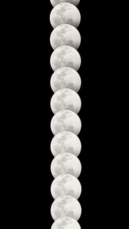 Post 131807370553 Puta Bida Tumbex