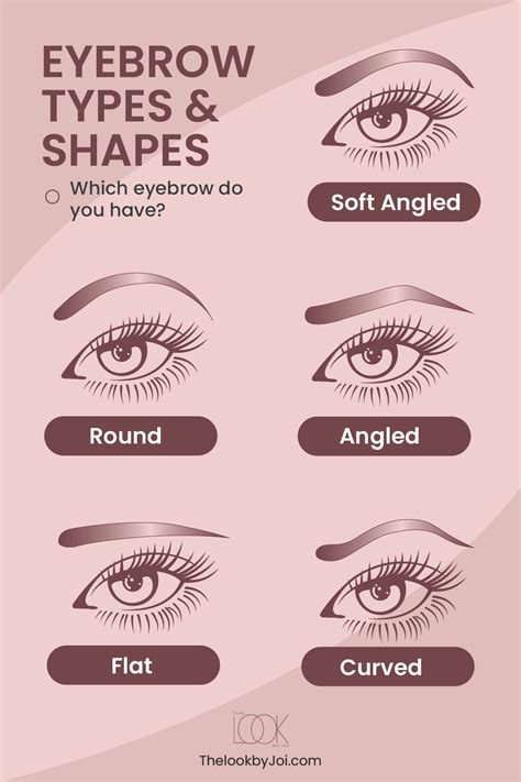 Brow Perfection With Different Eyebrow Types And Shapes In