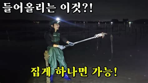 난리났다 갯벌에서 초보자도 쉽게 이걸 잡아 먹어보자 Youtube
