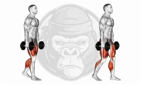 The Best Forearm Exercises Updated Jacked Gorilla