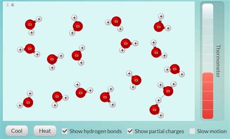 Water Is A Polar Covalent Molecule Biology 1101 Course Hub