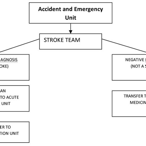 Patient With Stroke In The Hospital Stroke Flow Chart Based On Download Scientific Diagram