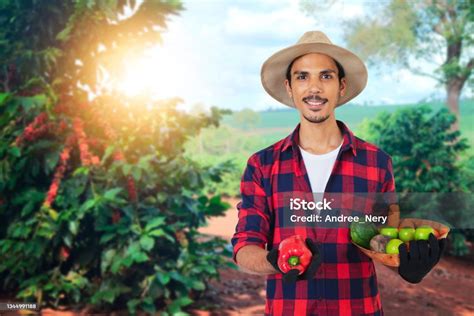 농장에서 일몰 날에 커피 농장 작물 앞에 모자를 쓴 농부 현장에서 농업 노동자 30 34세에 대한 스톡 사진 및 기타 이미지 30 34세 남성 남자 Istock