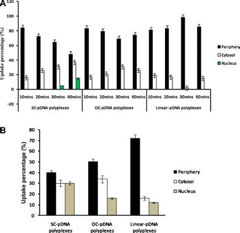 Quantification Of Polyplex Uptake In Dcs In Various Cellular