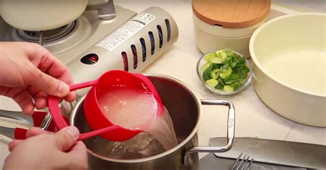 Chicken Broth Udon Simple And Satisfying Futuredish