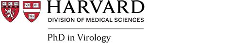 Xiaowei Zhuang Harvard Program In Virology