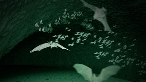 Yufeng Lin Saic Graduate Exhibition 2022