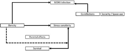 Schematical Overview Of The Results Regarding Stress Sensitivity Behaviour Download