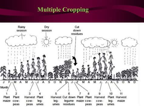 Cropping system ppt 1 | PPTX | Agriculture | Industries
