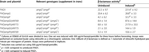 B Lactamase Activity Of P Aeruginosa Pao1 Paoampg And Paoampp In The