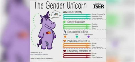 Gender Identity Chart