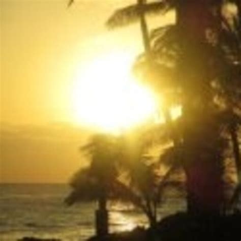 Anna Walden Master Of Research Palmer College Of Chiropractic Center For Chiropractic