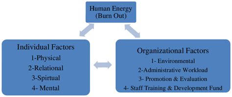 Shows The Conceptual Frame Work For The Interrelation Between The