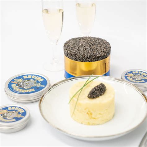 Quel Poisson Donne Le Caviar Caviar Ambassade