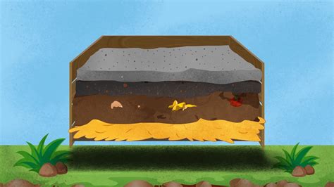 კომპოსტი Compost 🔴 ორგანული ნარჩენი ნაგავსაყრელზე მოხვედრის