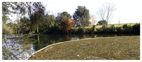 Floating Weed Booms And Containment Barriers
