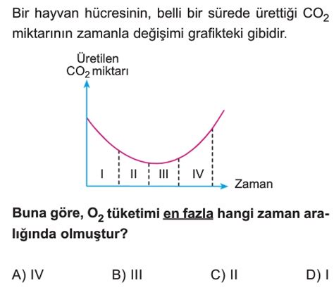 8 Sınıf Enerji Dönüşümleri ve Çevre Bilimi Test Çöz Lgs Çözümlü Sorular