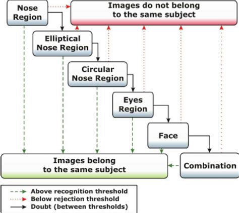 proposed hierarchical evaluation model download scientific diagram